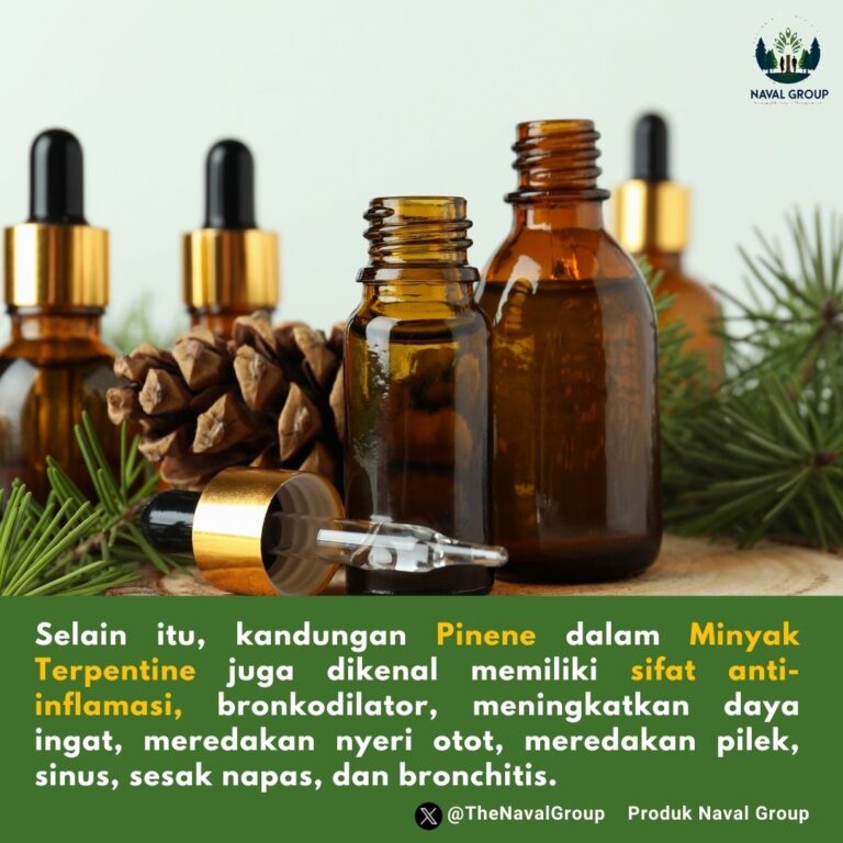 Gum Turpentine Oil: Origin, Manufacturing Process, and Key Uses - N.A.V.A.L